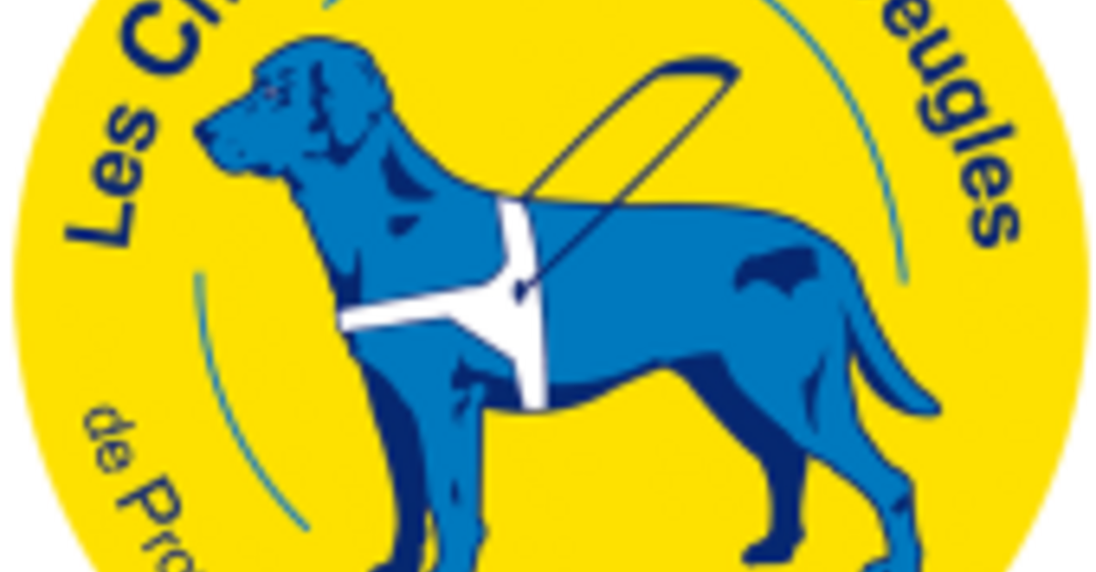 Les chiens guides en France | Association des chiens guides d'aveugles